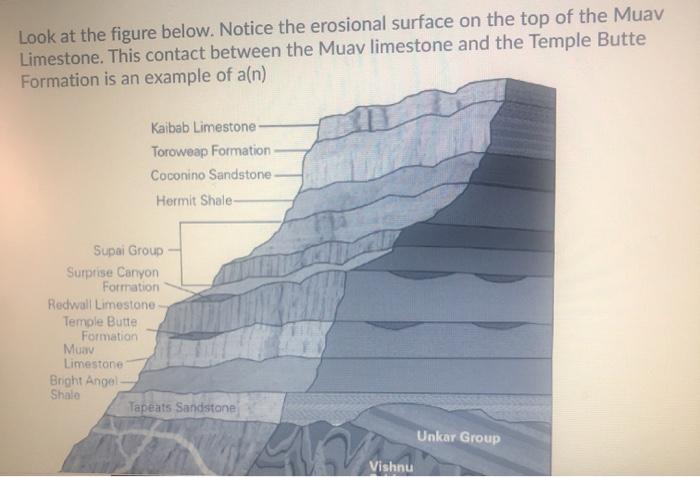 Solved Look at the figure below. Notice the erosional | Chegg.com