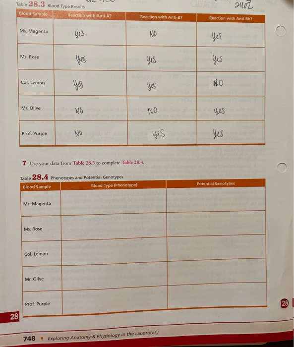 Solved Table 28.3 Blood Type Results Blood Sample Reaction | Chegg.com