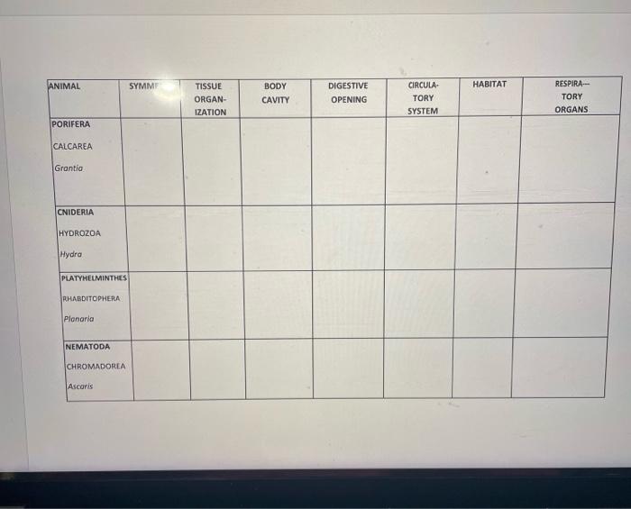Solved Animal Diversity Lab 1 Categorize animals based on | Chegg.com