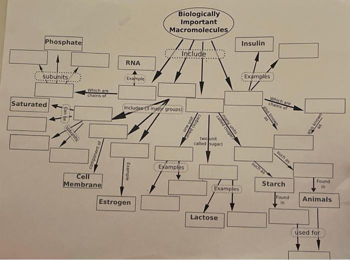 Solved HI PLEASE HELP ME WITH THIS THABK YOU SO MUCH 🤞🏼 | Chegg.com