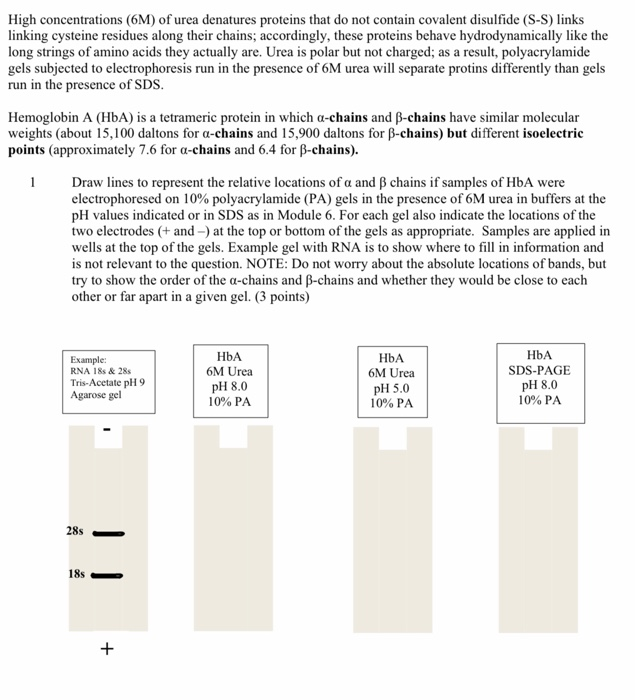 Solved High concentrations (6M) of urea denatures proteins | Chegg.com