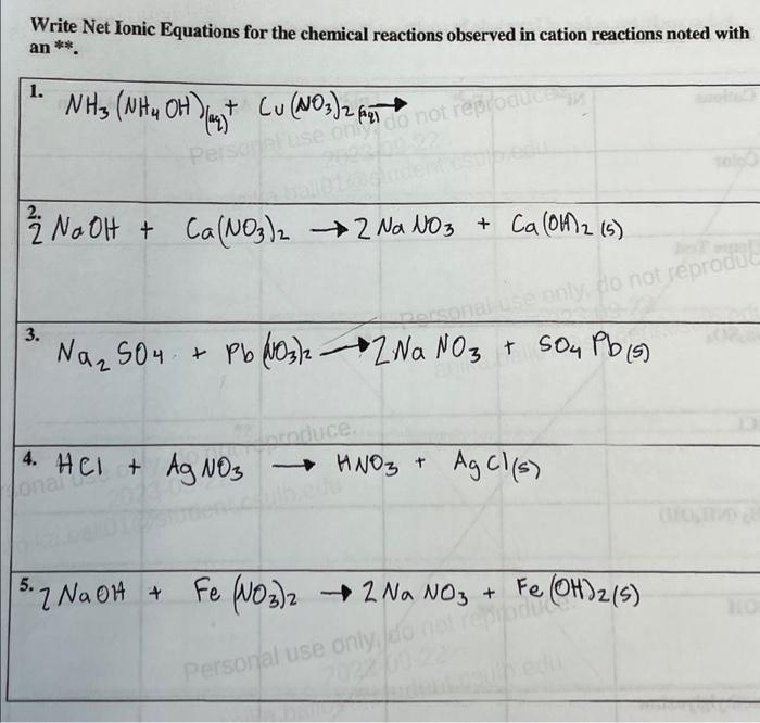 Solved Write Net Ionic Equations for the chemical reactions | Chegg.com