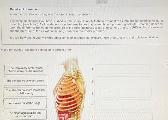 Solved Required information Read the overview and complete | Chegg.com