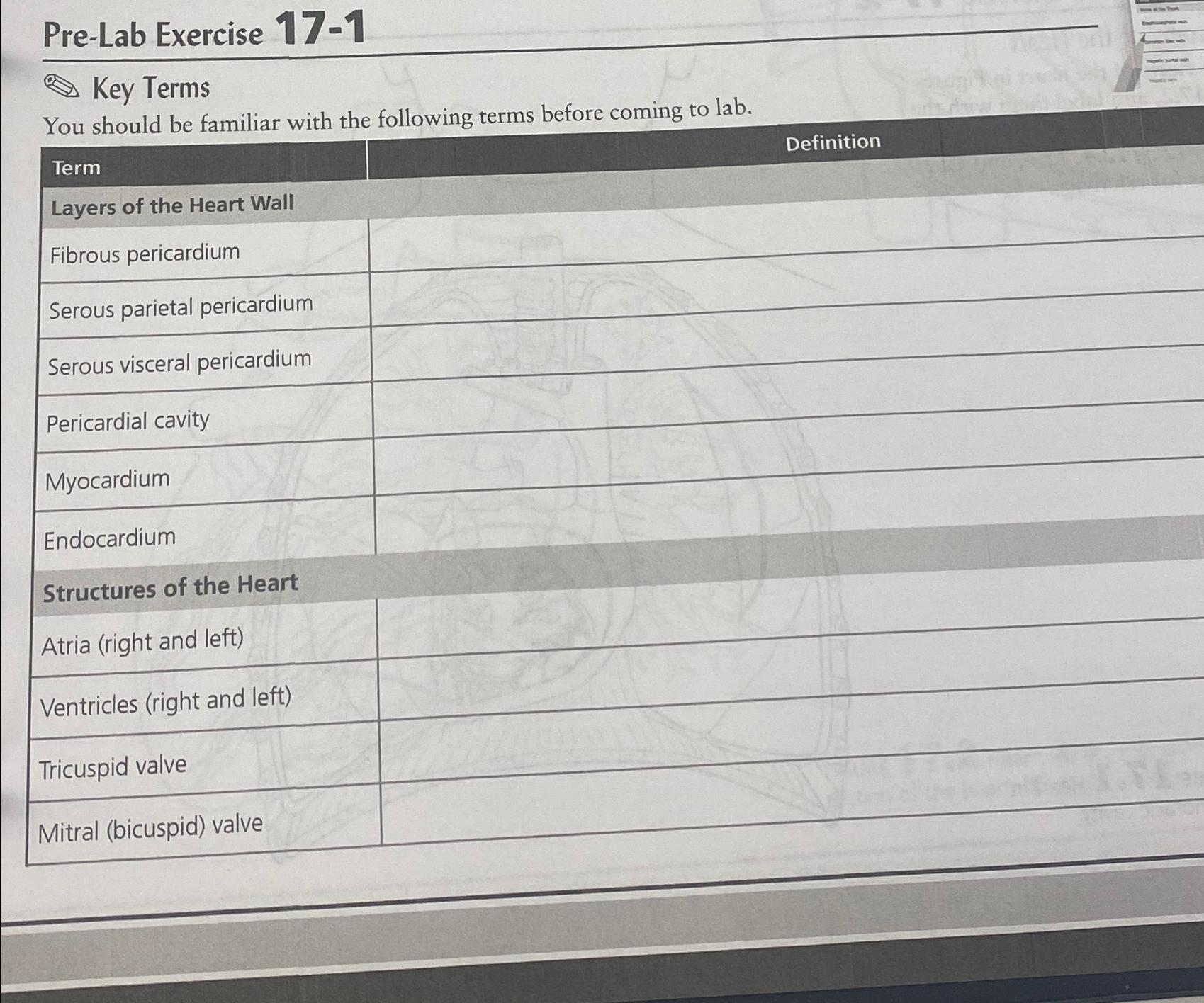 Solved Pre-Lab Exercise 17-1Key TermsYou should be familiar | Chegg.com
