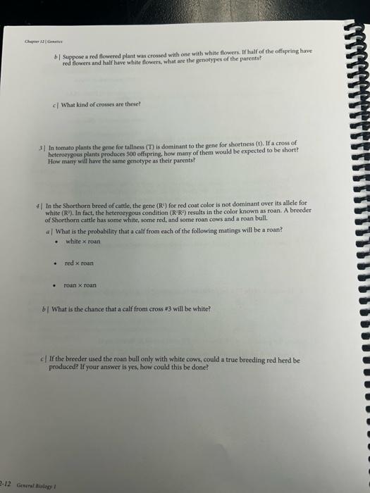 Solved 1) A spotted rabbit was mated to a solid colored | Chegg.com