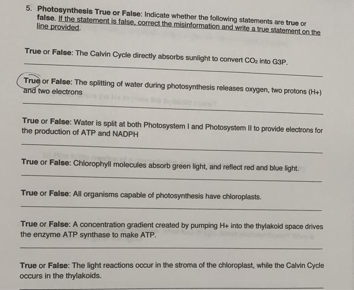 Solved 5. Photosynthesis True or False: Indicate whether the | Chegg.com