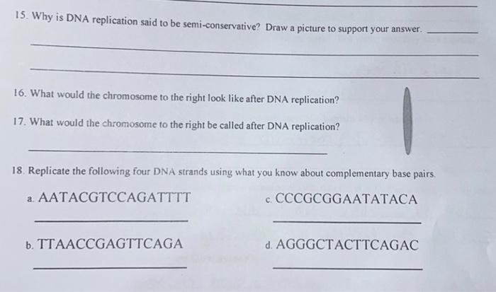 Solved 15. Why is DNA replication said to be | Chegg.com