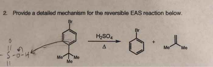 Solved Provide a detailed mechanism for the reversible EAS | Chegg.com