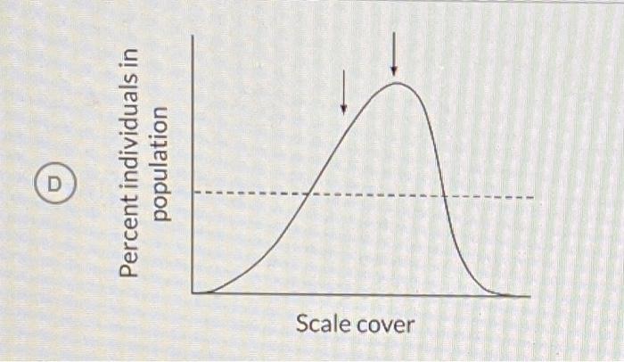 Solved Time point Partial scale cover (mirror) Intermediate | Chegg.com