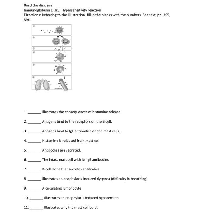 Read the diagram Immunoglobulin E (IgE) | Chegg.com