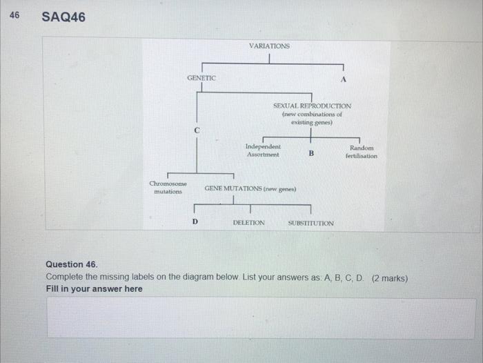 Solved Question 46. Complete the missing labels on the | Chegg.com