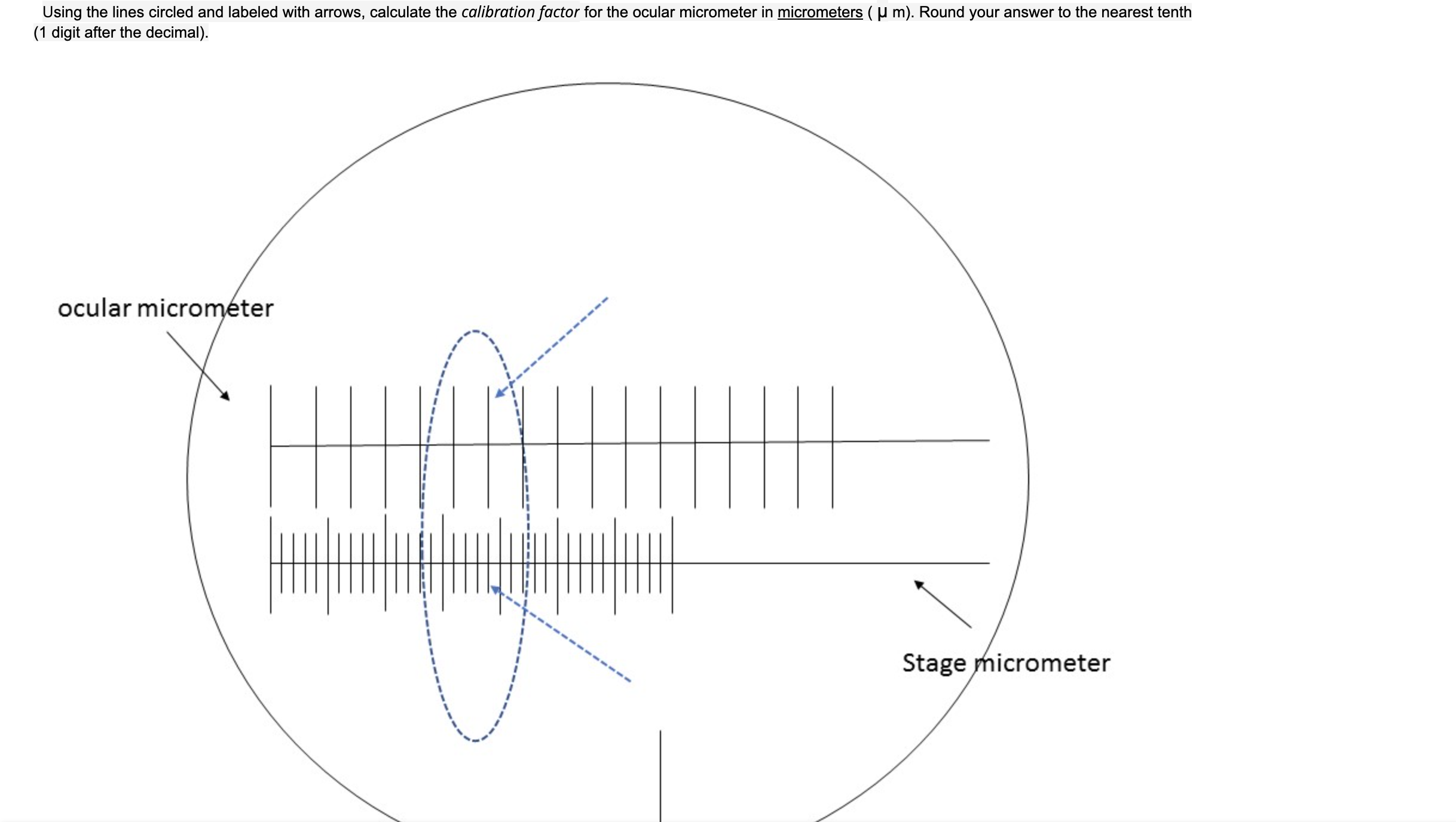 Solved Using the lines circled and labeled with arrows, | Chegg.com