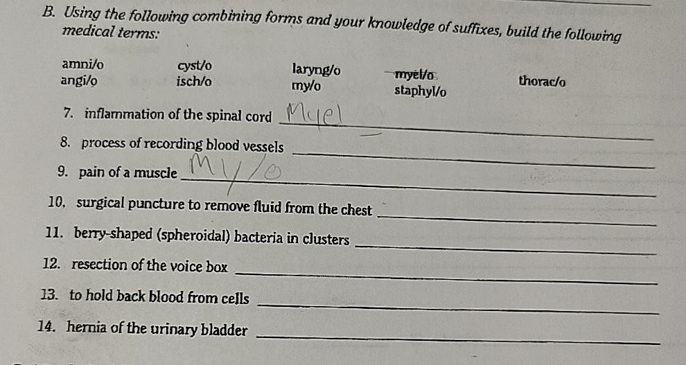 Solved B. ﻿Using the following combining forms and your | Chegg.com