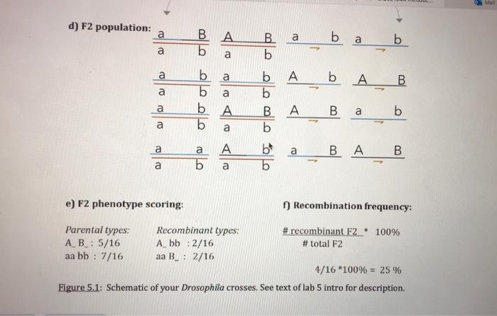 Solved Based on the class recombination frequencies, which | Chegg.com