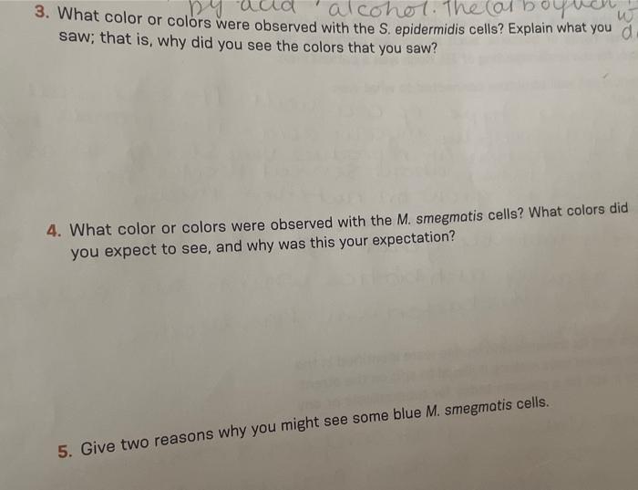 Solved 1. How is the acid-fast stain able to stain the waxy | Chegg.com