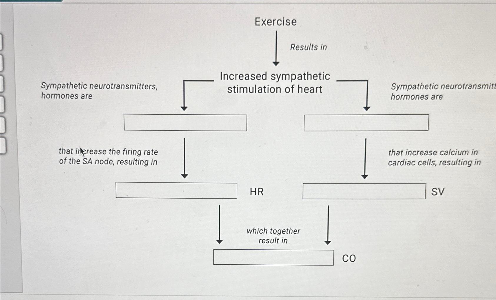 Solved ExerciseResults inSympathetic neurotransmitters, | Chegg.com