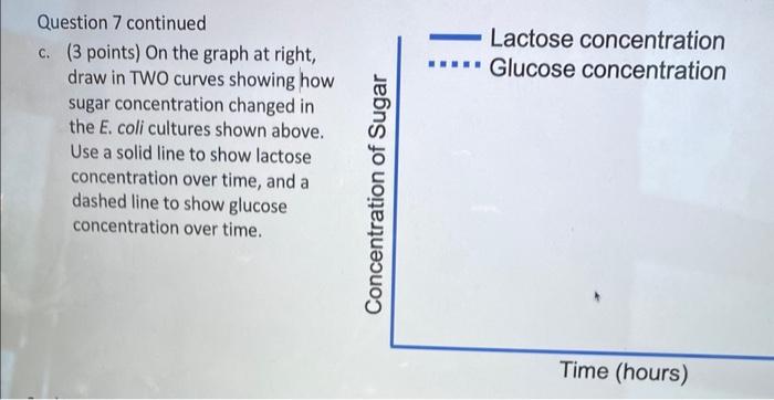 Solved 7. The graph above shows E. coll growth over time in | Chegg.com