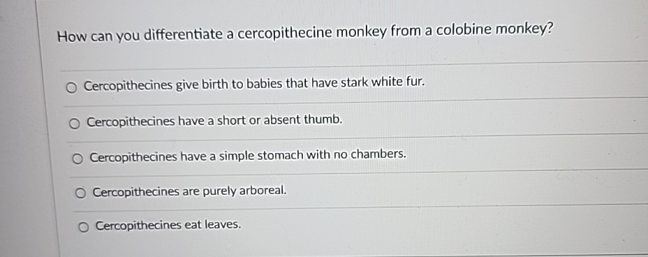 Solved How can you differentiate a cercopithecine monkey | Chegg.com