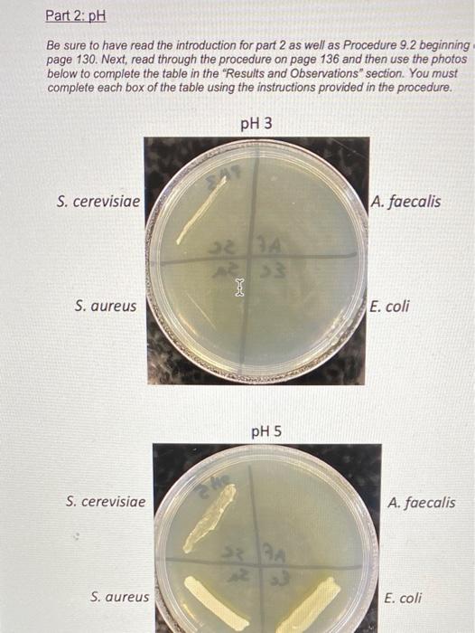 Solved NAME: SECTION: DATE: EXERCISE 9 Analysis Day 2 Part | Chegg.com