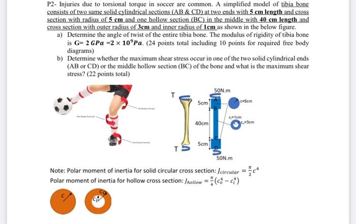 Solved P2- Injuries due to torsional torque in soccer are | Chegg.com