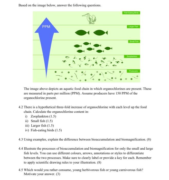 Solved Based on the image below, answer the following | Chegg.com