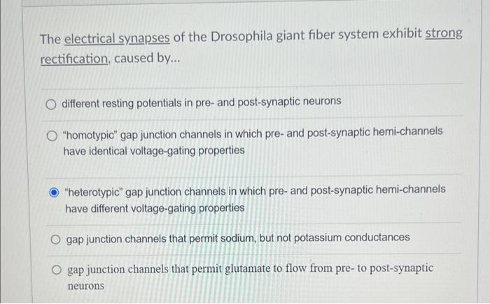 The electrical synapses of the Drosophila giant fiber | Chegg.com