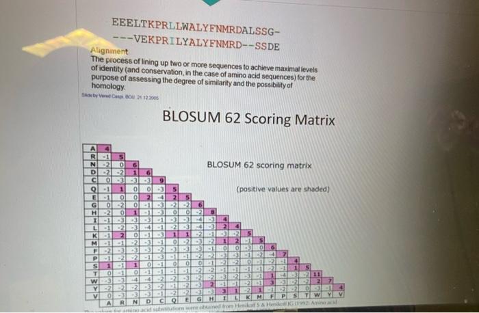Solved Name: 1. Calculate the similarity score between the | Chegg.com