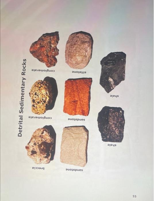 Lab 10: Rocks and Rock Identification In this lab you | Chegg.com