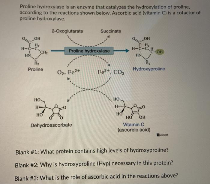 Solved Proline hydroxylase is an enzyme that catalyzes the | Chegg.com