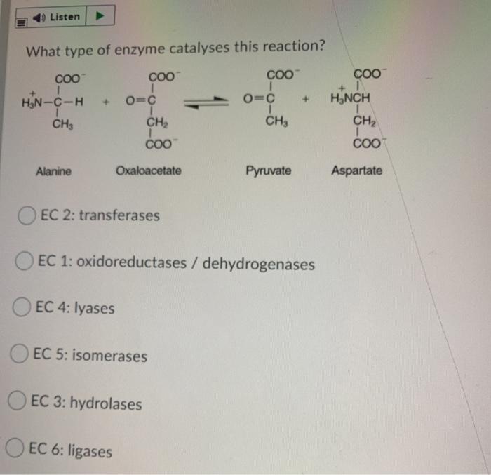 Solved Listen What type of enzyme catalyses this reaction? | Chegg.com