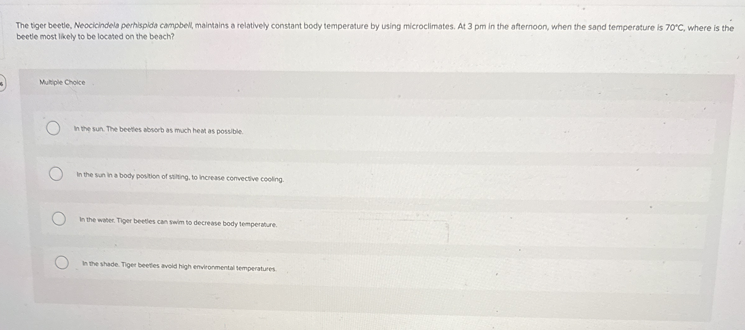 Solved The tiger beetle, Neocicindela perhispida campbell, | Chegg.com