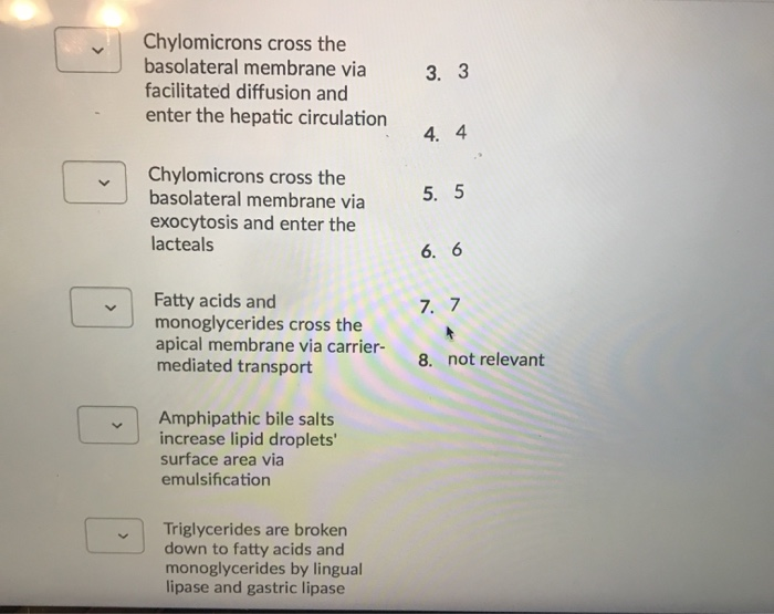 Solved In response to fatty acids in the duodenum, Select | Chegg.com