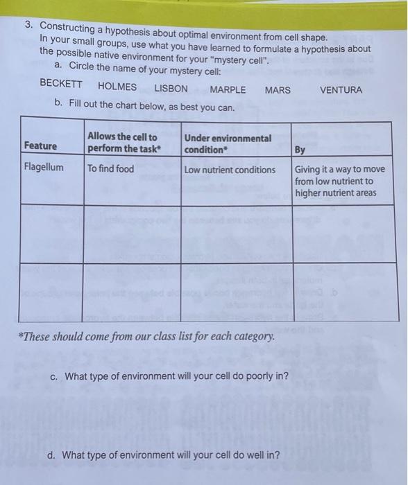 3. Constructing a hypothesis about optimal | Chegg.com