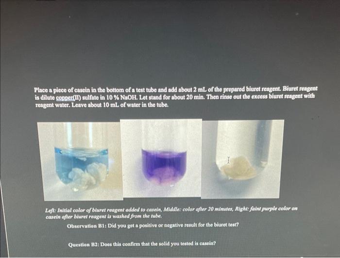 Solved Procedure B: Confirmation of casein's protein | Chegg.com