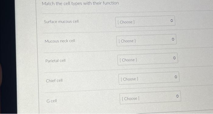 Solved Match the cell types with their function Surface | Chegg.com