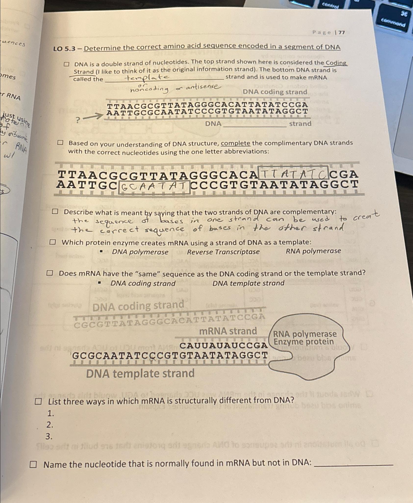 Solved P ﻿a ge 177LO 5.3 - ﻿Determine the correct amino acid | Chegg.com