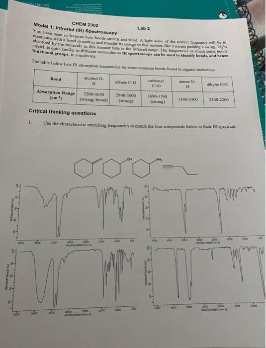 Solved Model 1: Infrared (IR) Spectroscopy Lab 2 You have | Chegg.com