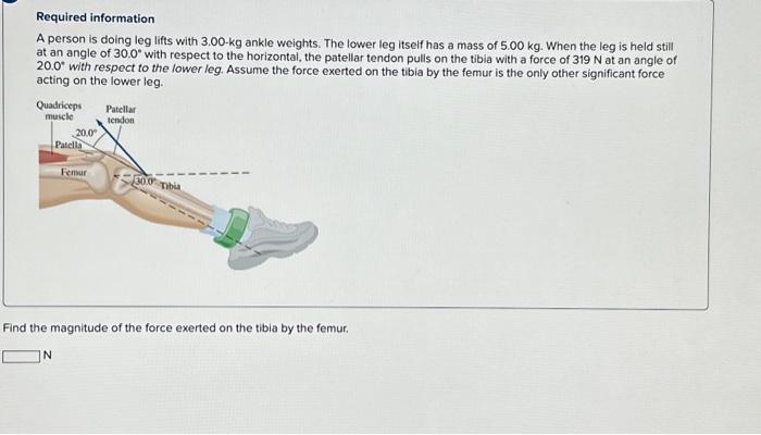 Solved Required information A person is doing leg lifts with | Chegg.com