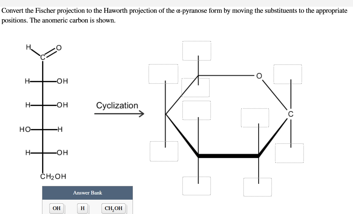 Solved Convert the Fischer projection to the Haworth | Chegg.com