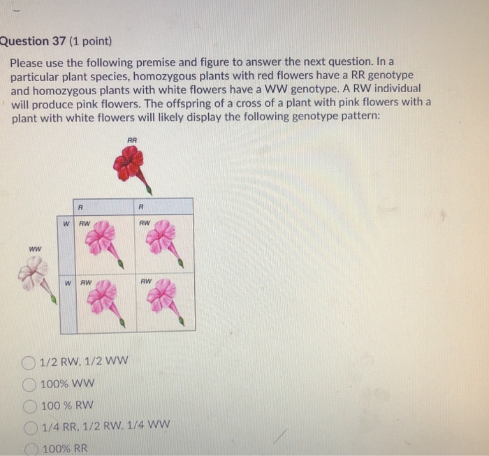 Solved Question 32 (1 point) Please use the following | Chegg.com