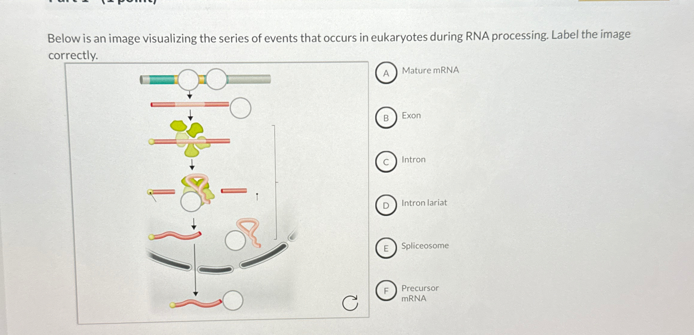 Solved Below is an image visualizing the series of events | Chegg.com