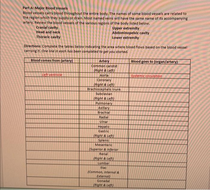 Solved \begin{tabular}{|l|c|c|} \hline & Femoral & \\ | Chegg.com