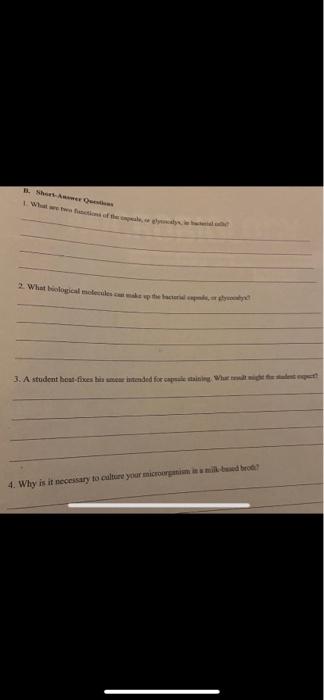 Solved D. Shses andite Ontalkas Copsular Staining Slaining | Chegg.com