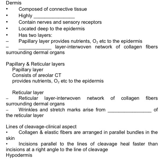 Solved Dermis Composed of connective tissue Highly Contain | Chegg.com