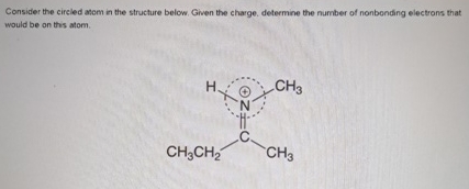 Solved Consider the circled atom in the structure below. | Chegg.com