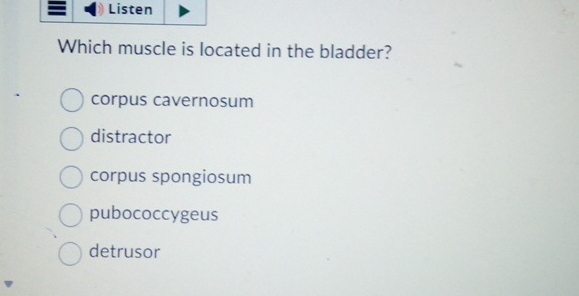 Which muscle is located in the bladder?corpus | Chegg.com