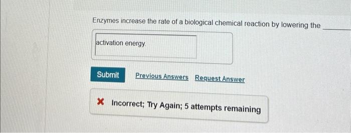Solved Enzymes increase the rate of a biological chemical | Chegg.com