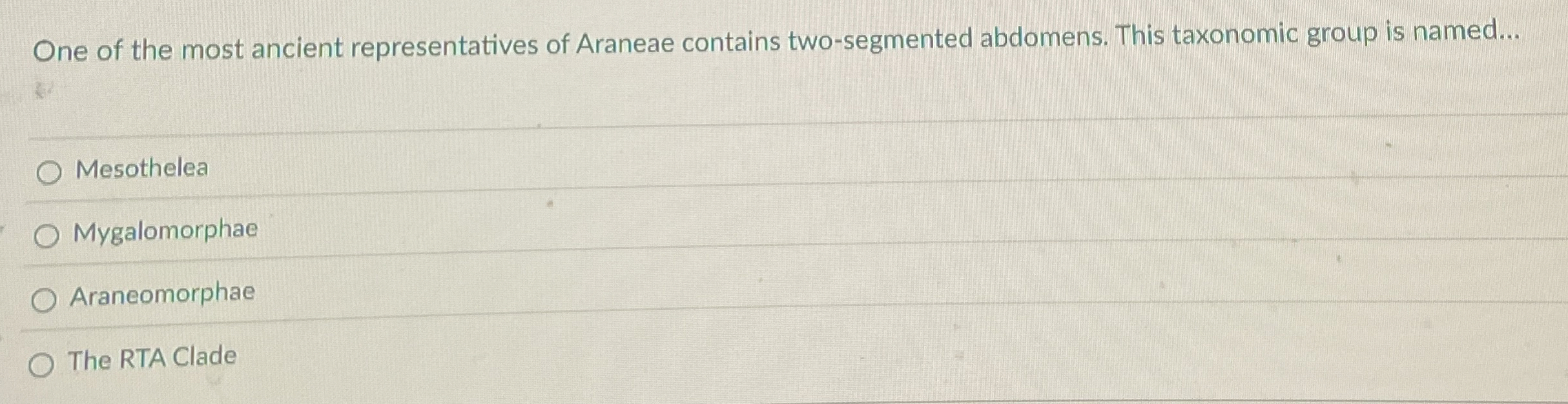 Solved ne of the most ancient representatives of Araneae | Chegg.com