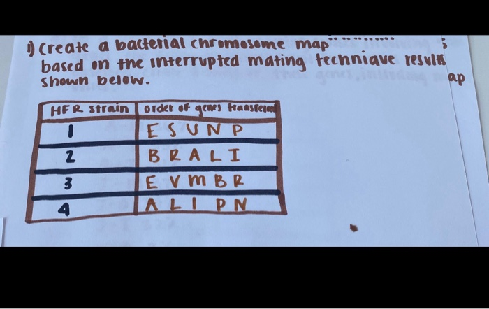 Solved 3 o create a bacterial chromosome map based on the | Chegg.com