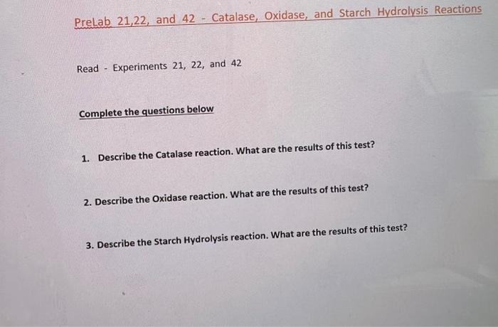 Solved Prelab 21,22, and 42 - Catalase, Oxidase, Read - | Chegg.com